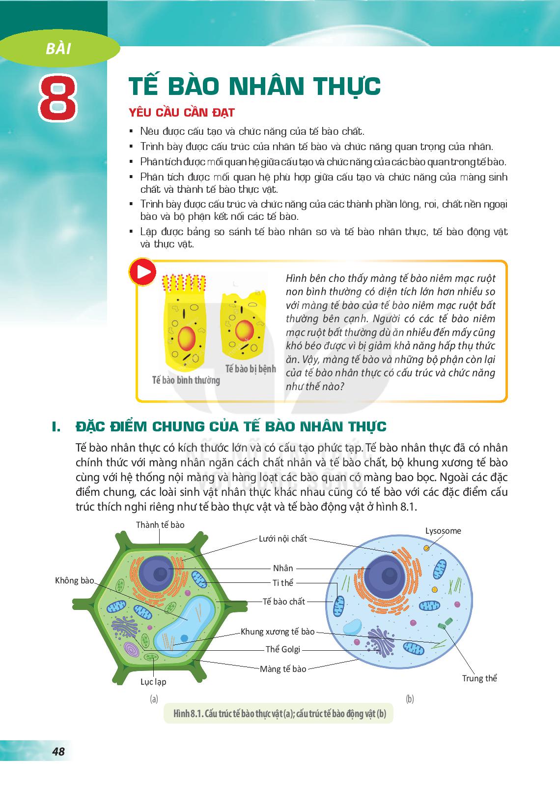 Chương 6 Sinh học vi sinh vật - Sinh Học 10 - Tìm đáp án, giải bài