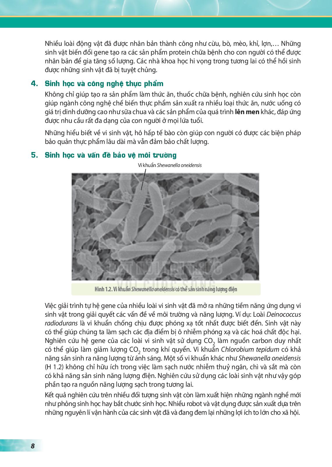 Chương 6 Sinh học vi sinh vật - Sinh Học 10 - Tìm đáp án, giải bài